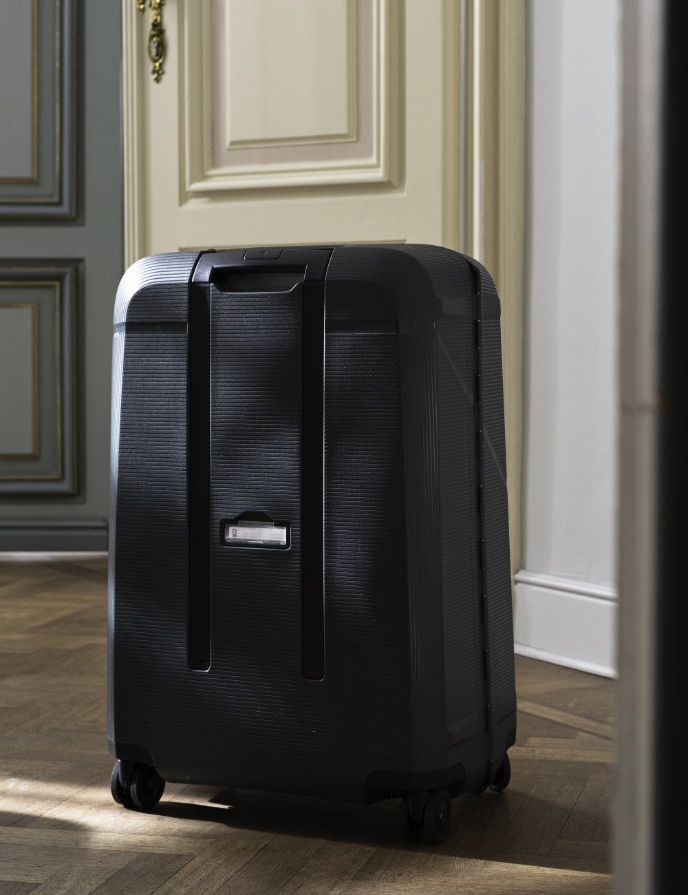 When Brands Decide Opt For A Sustainable And Stylish Future