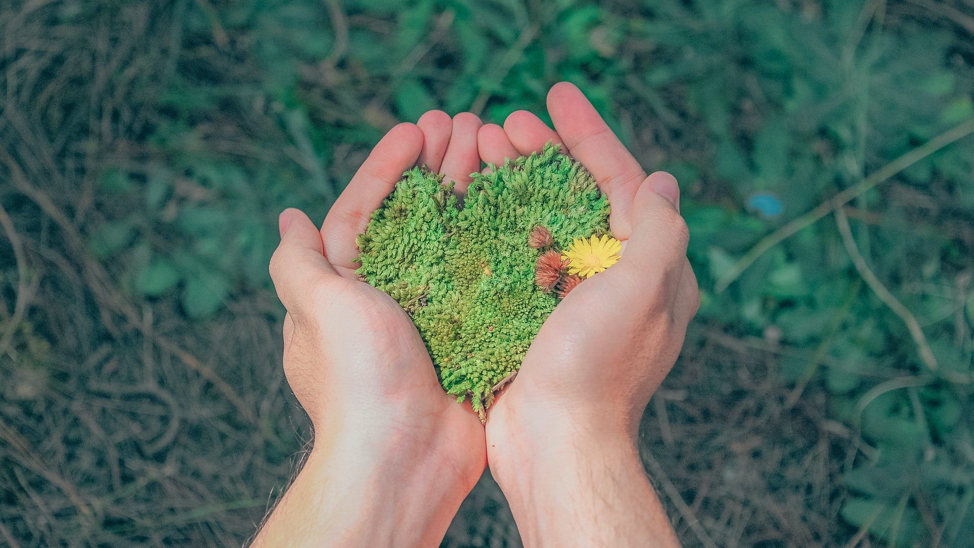 10 Ways You Can Play Your Part For World Environment Day