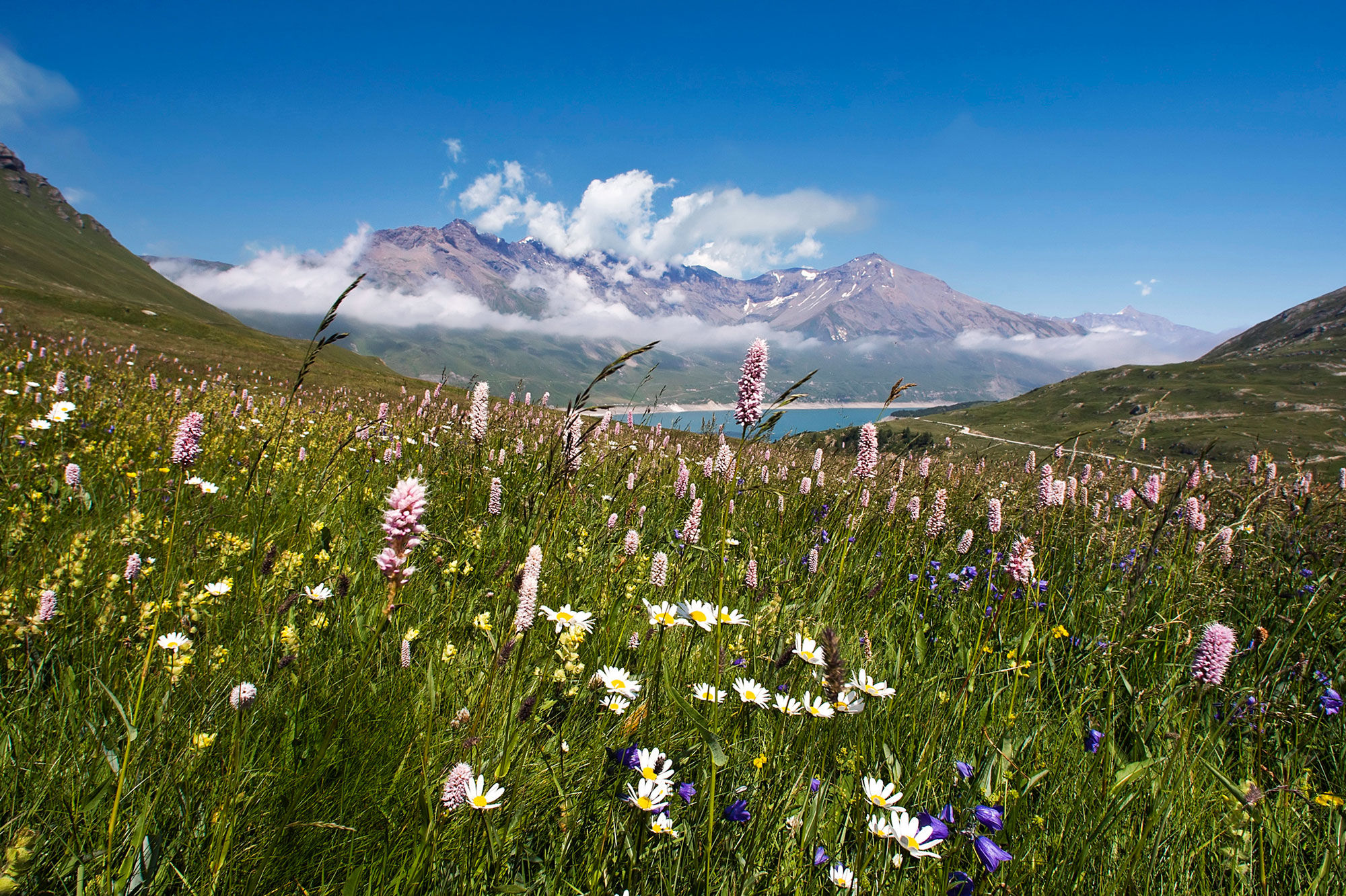 Forget skiing, visit the French Alps to drink great wines