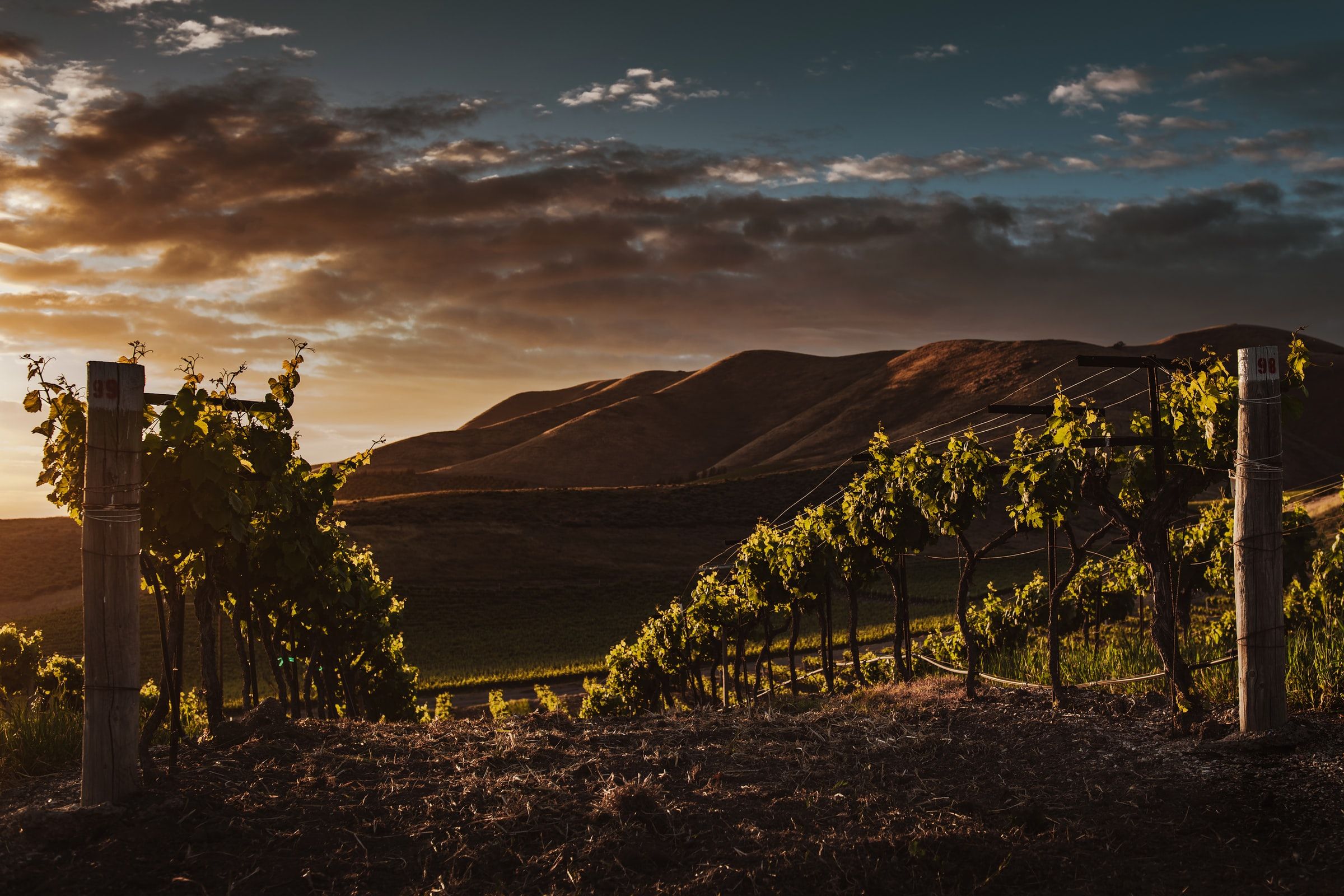 A New Study Has Revealed The World’s Most Beautiful Wineries