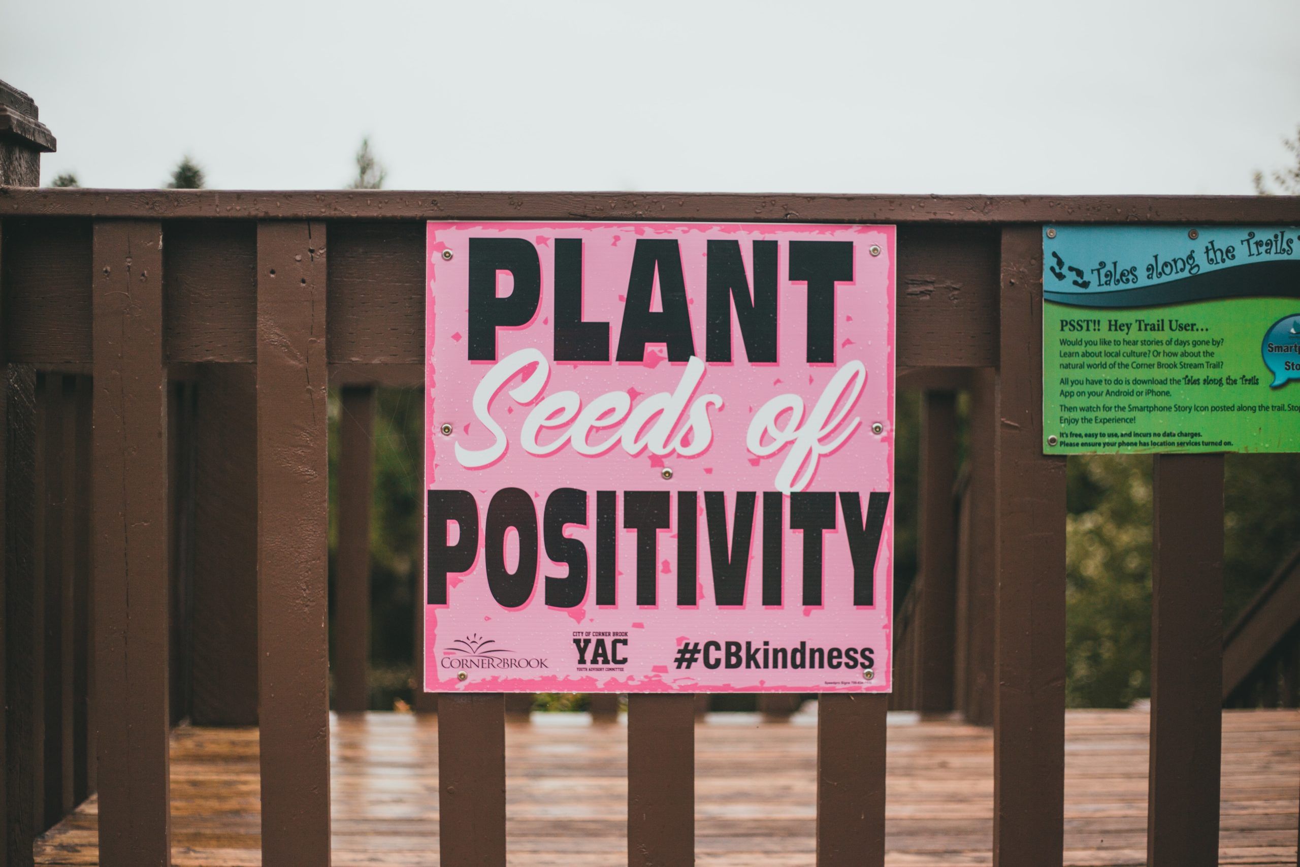 15 Instagram accounts that spread positivity
