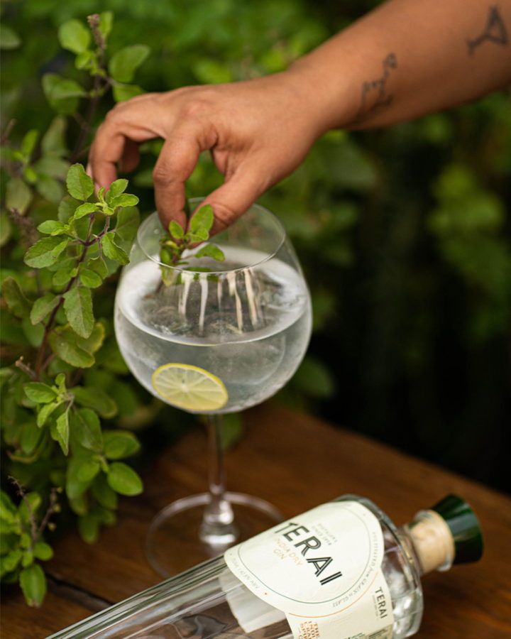 Terai India Dry Gin Has Officially Arrived In Singapore