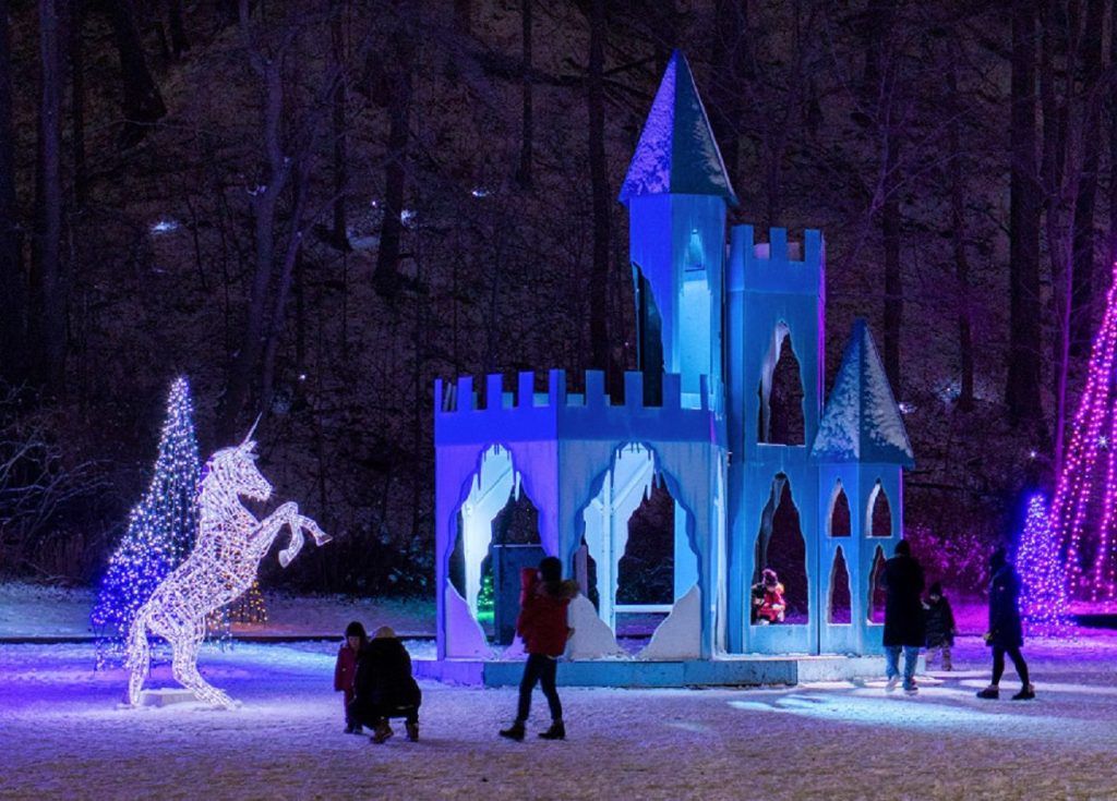 Places you can visit to watch the most spectacular Holiday lights display
