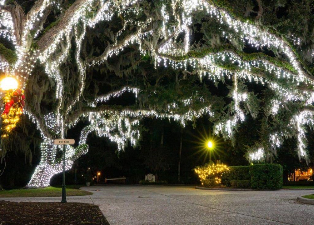 Places you can visit to watch the most spectacular Holiday lights display