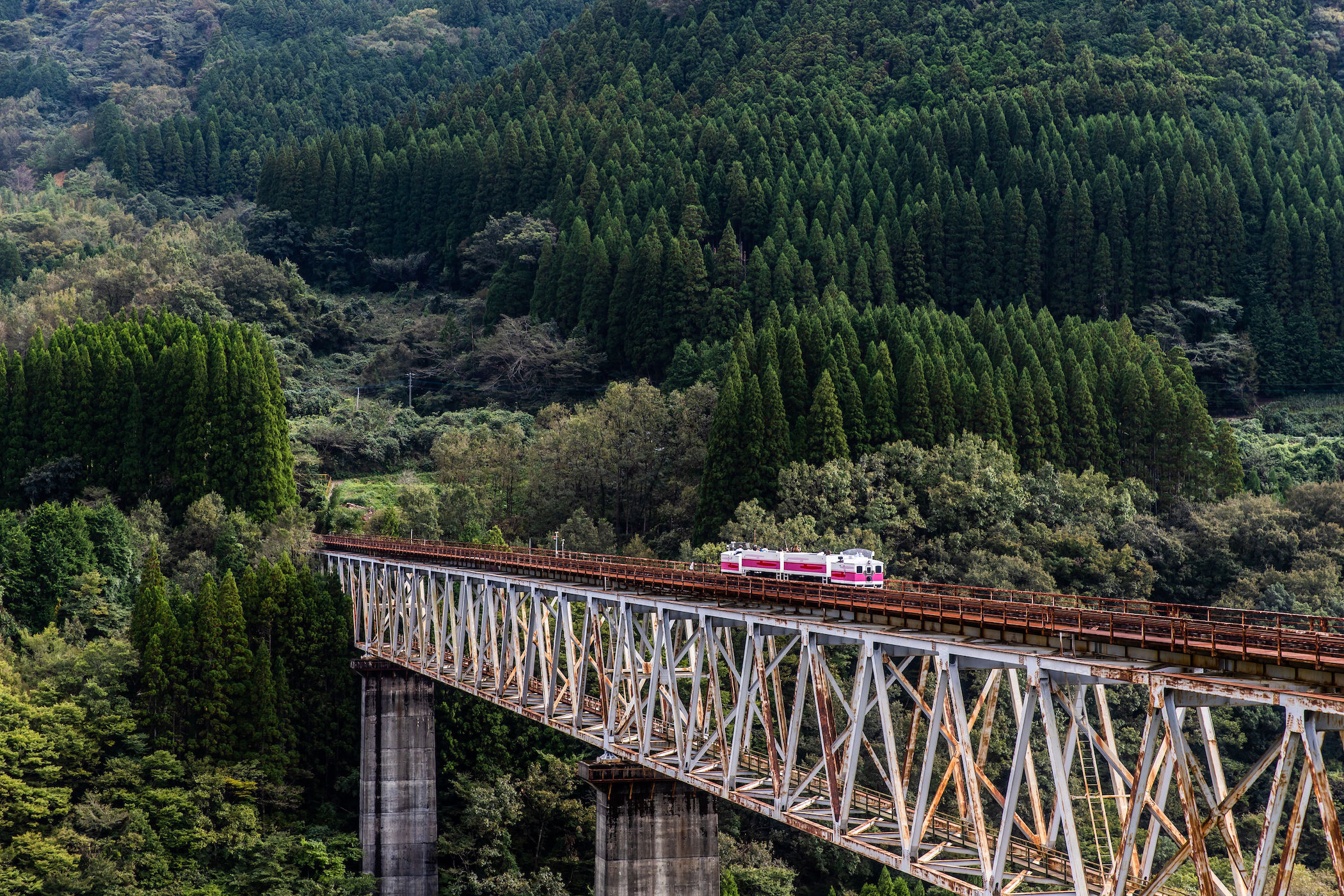 This Sightseeing Train In Japan Runs On Leftover Ramen Soup