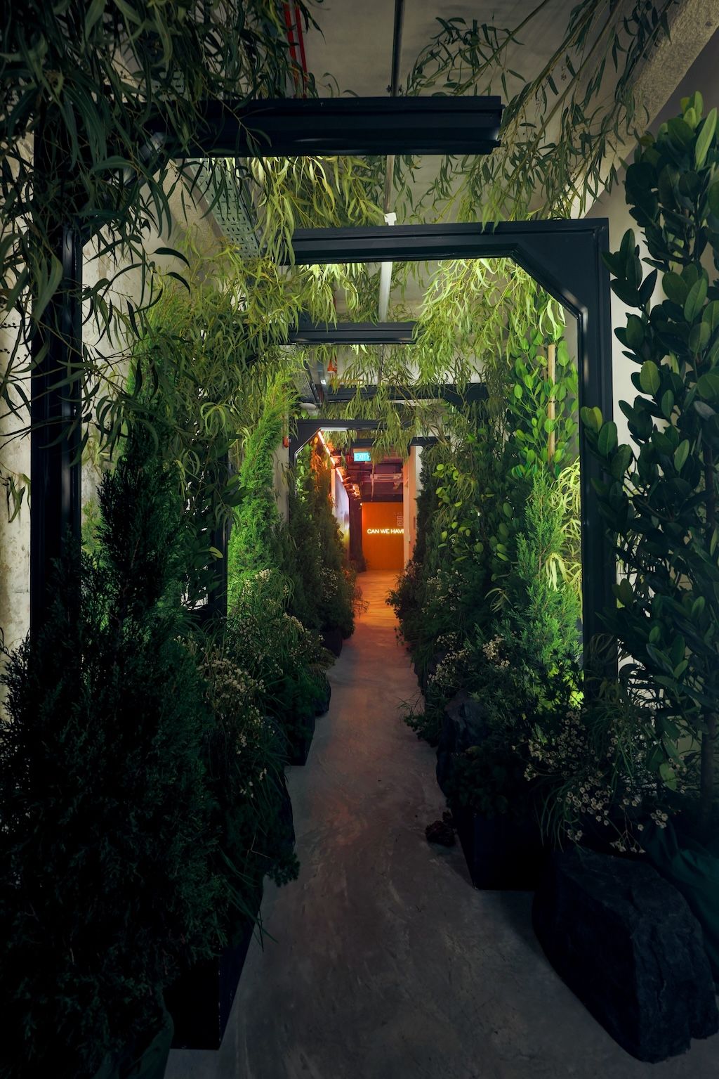 Experience Scotland at The Macallan, Stella and Mary McCartney Pop Up