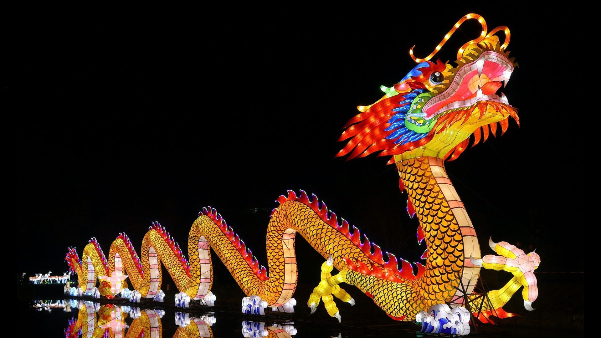 Year Of The Wood Dragon: Personality Traits Of Those Born In This Year