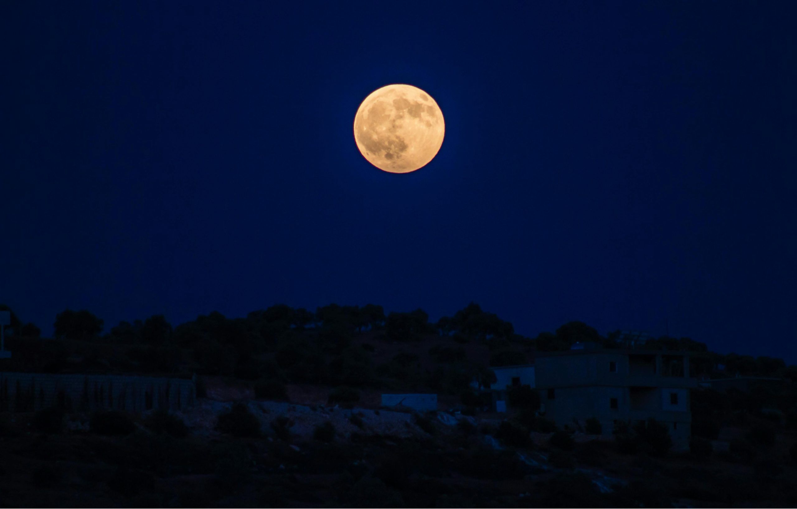 How Will The Full Moons Of 2024 Affect All 12 Zodiac Signs?