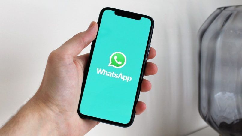 How To Update WhatsApp And Get The Latest Version For iOS, Android