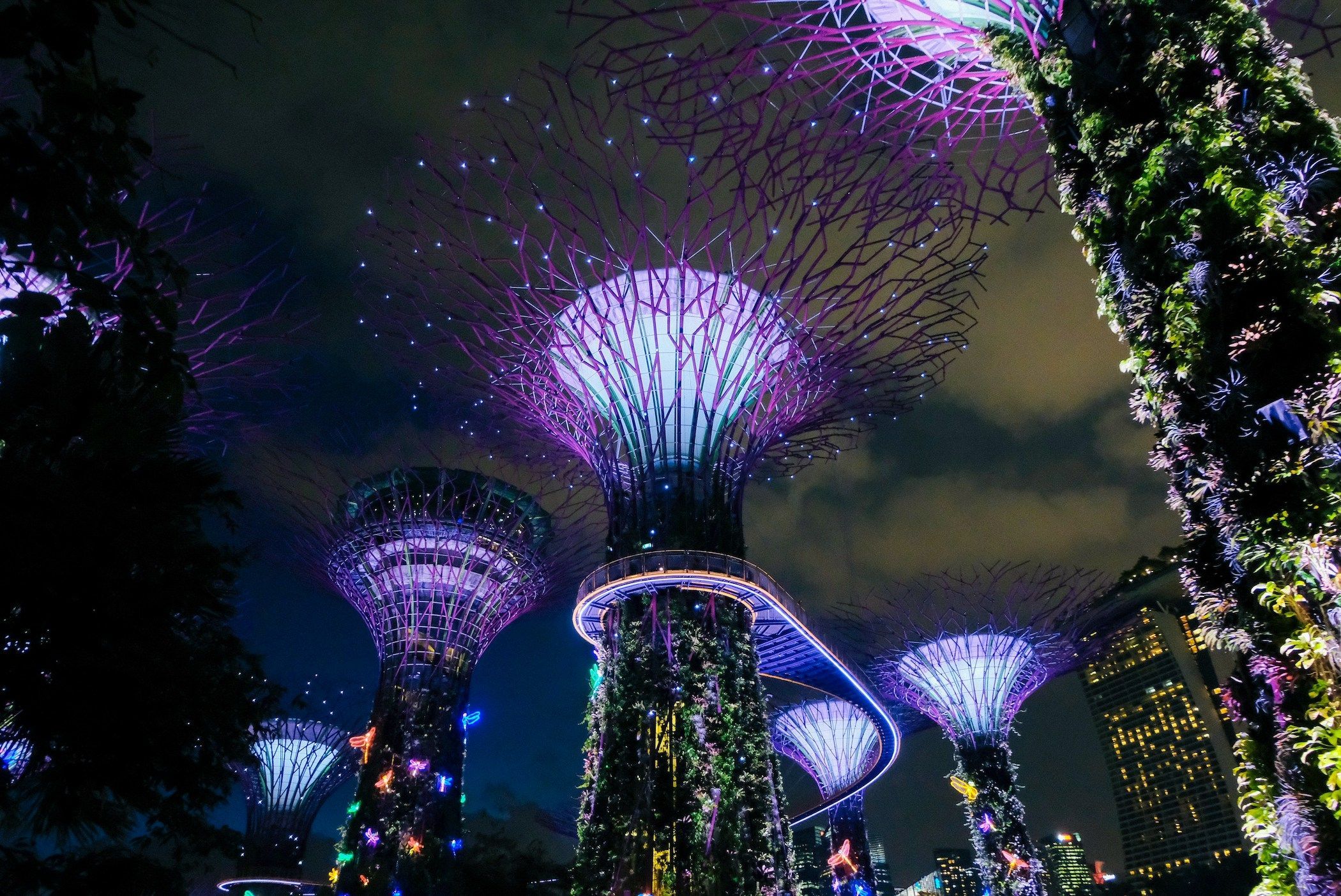 15 Fun And Free Things To Do In Singapore If You Are On A Budget
