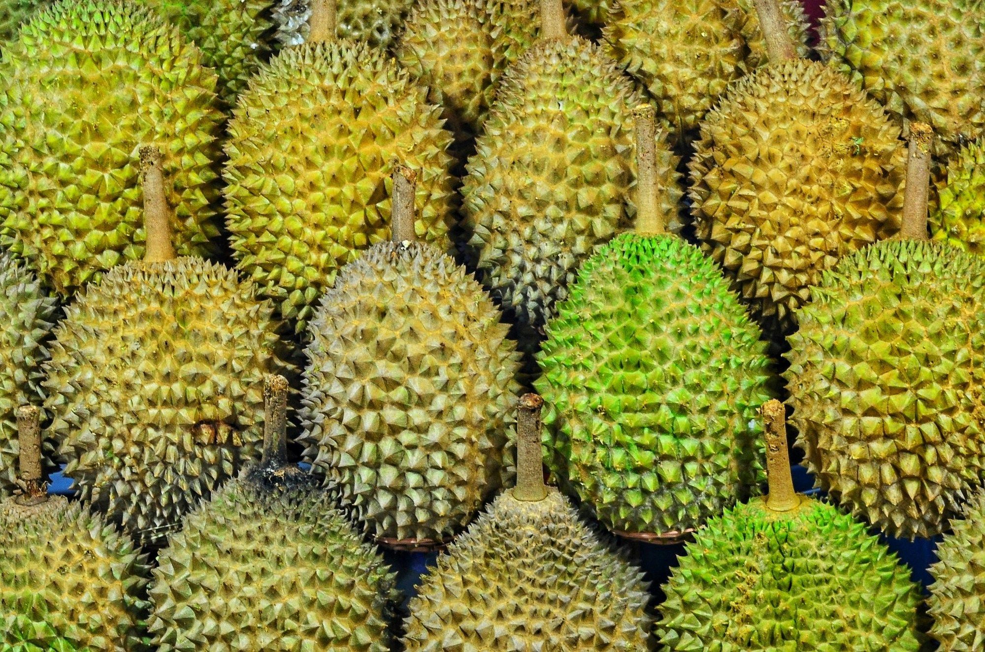 How To Pick The Perfect Durian In Malaysia? Follow Our Guide
