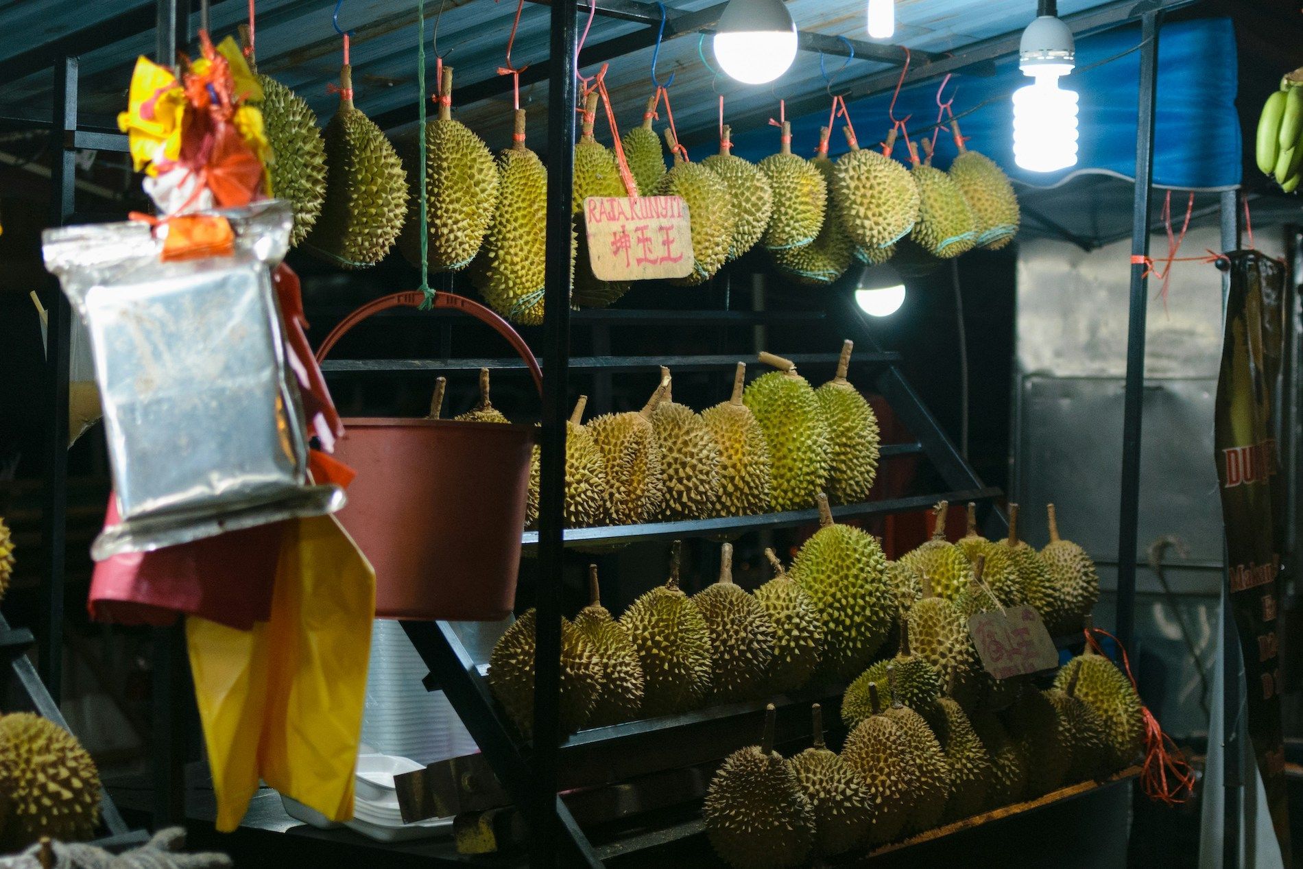 How To Pick The Perfect Durian In Malaysia? Follow Our Guide