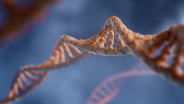 Is the disappearing Y chromosome phenomenon real? - Augustman SG