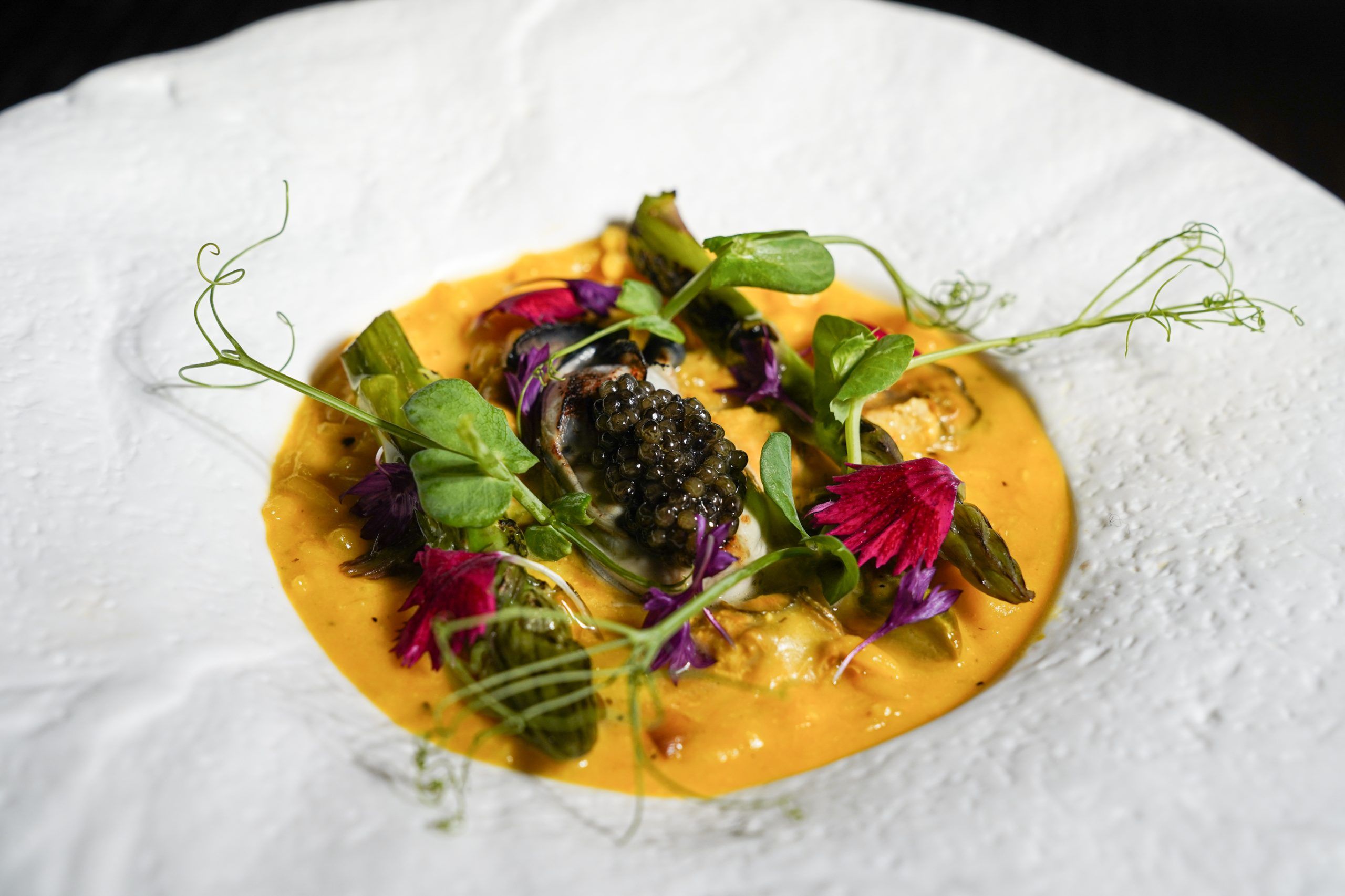 Capasso Adds Italian Flair and Flavour to UltraLuxe 2024