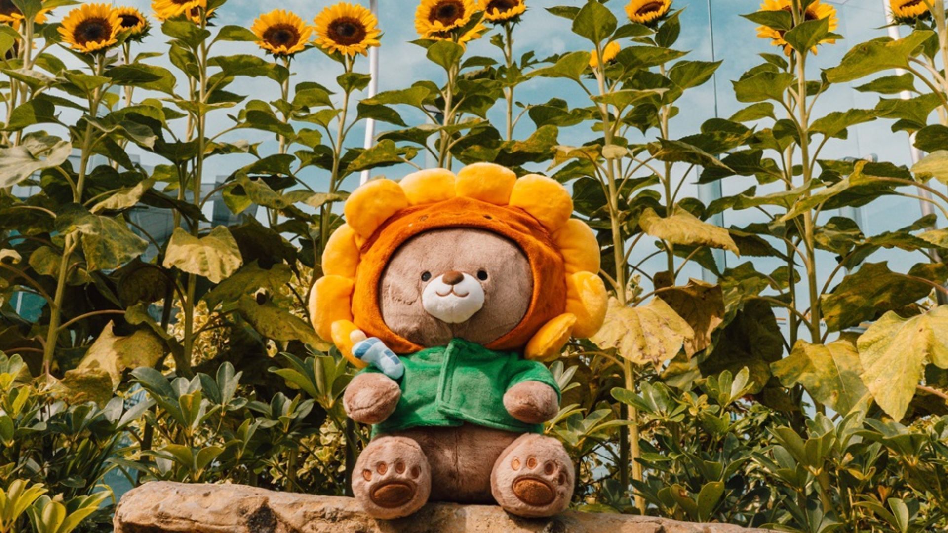 All About The Changi Airport Sunflower Showcase