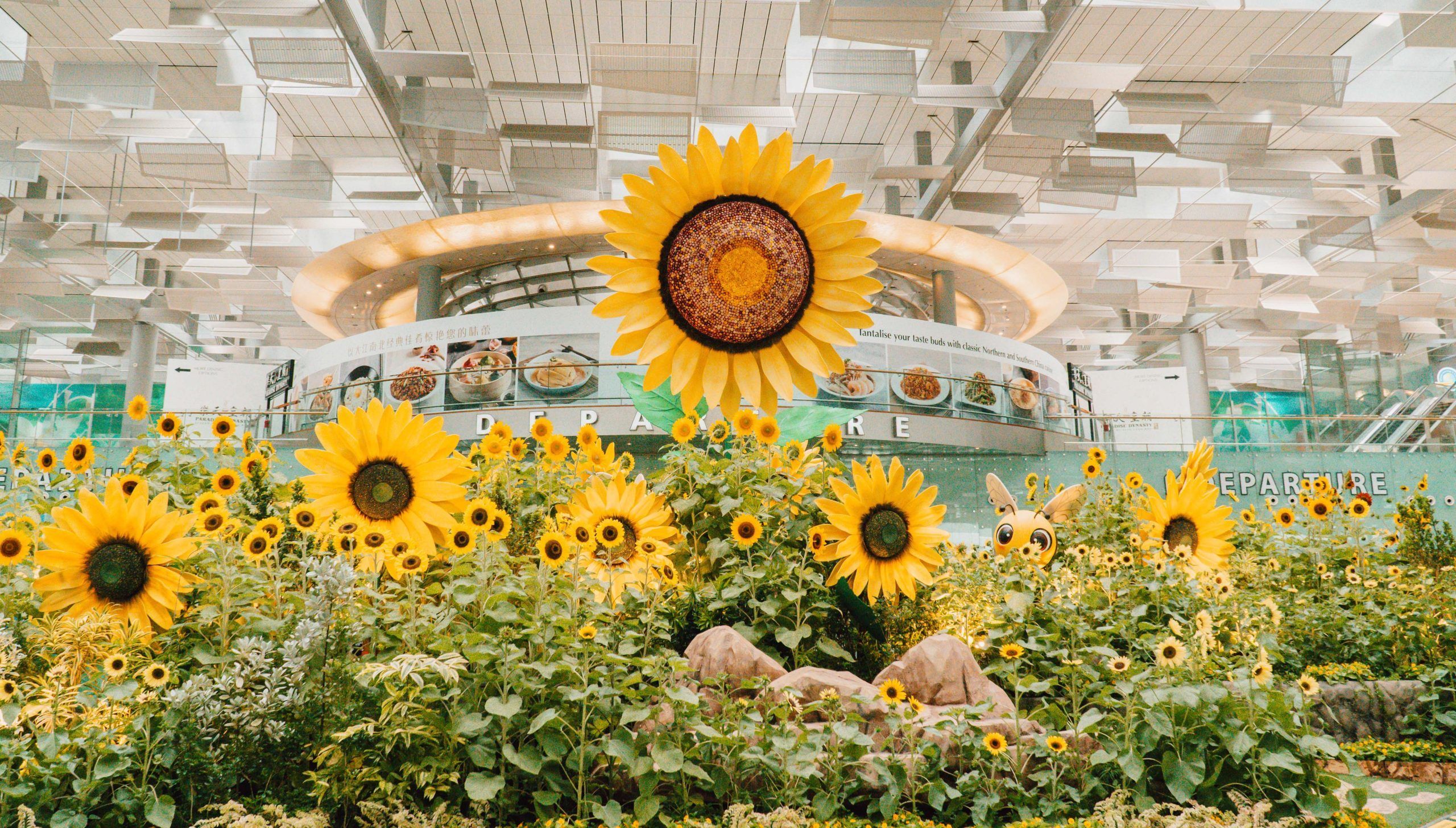 All About The Changi Airport Sunflower Showcase