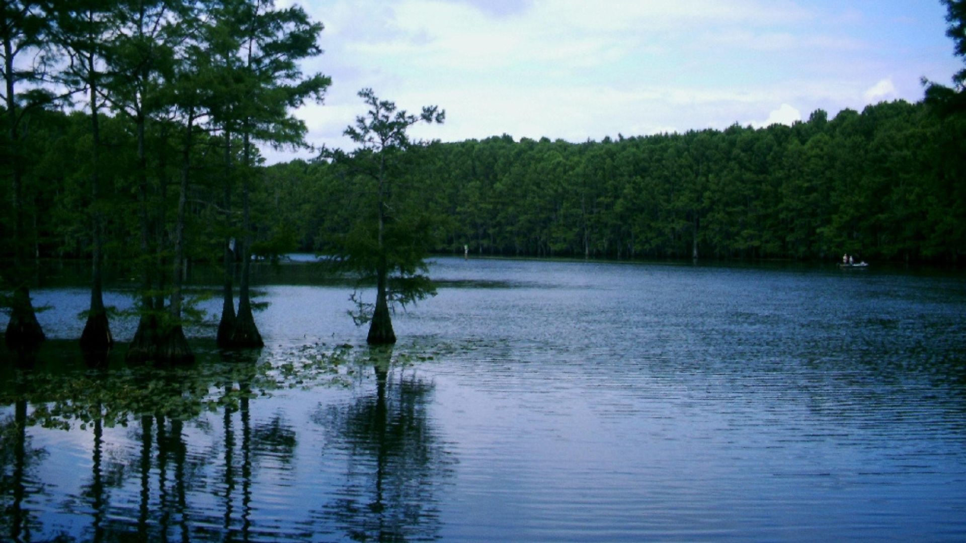 Find Out The True Story Behind The Movie Caddo Lake - Augustman SG