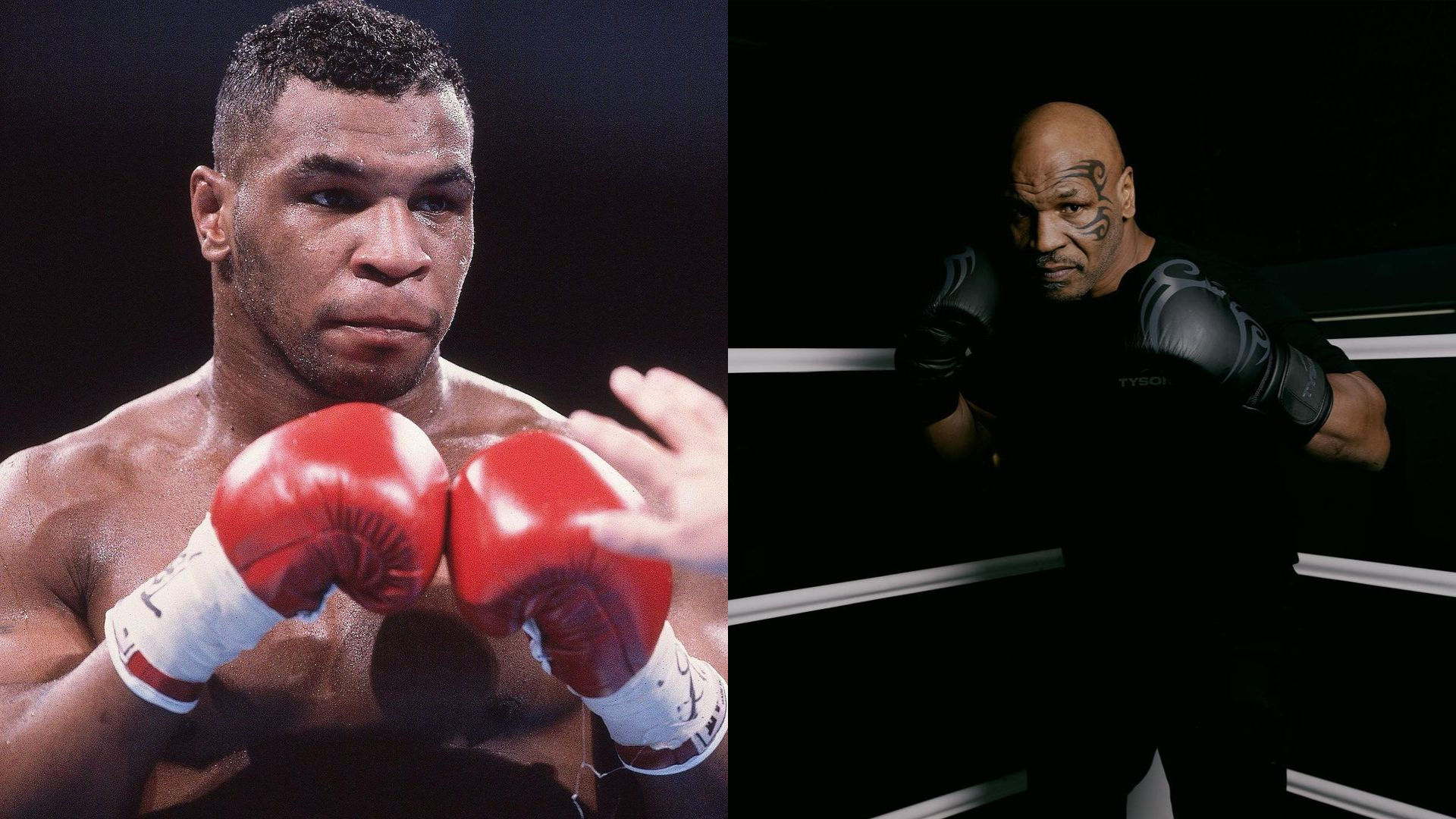 5 Best Mike Tyson Fights We Want To Relive - Augustman Singapore