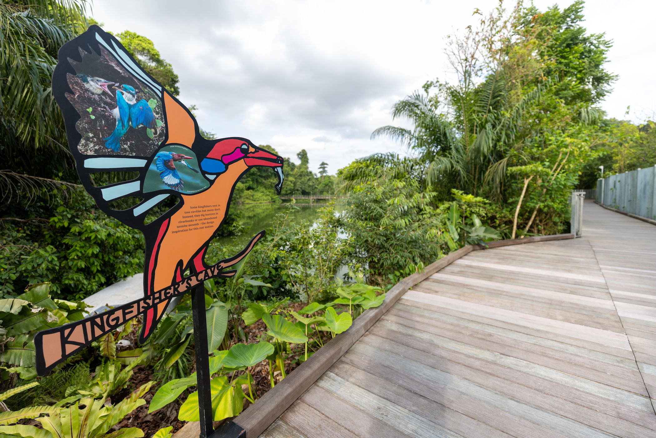 A First Look At The Scenic Mandai Boardwalk Around The Singapore Zoo