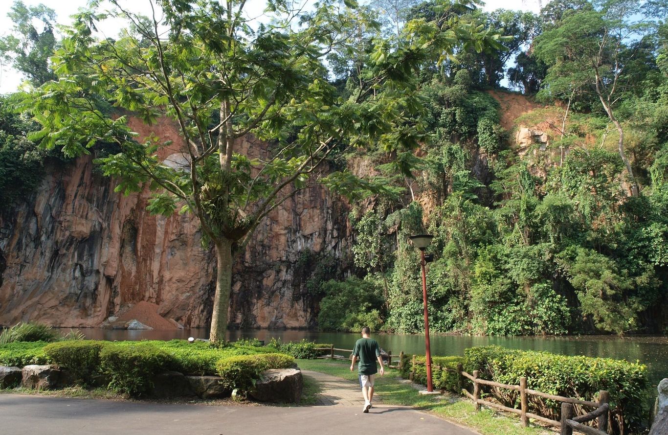 All About The Upgraded Bukit Batok Nature Corridor, Mandai Mangrove