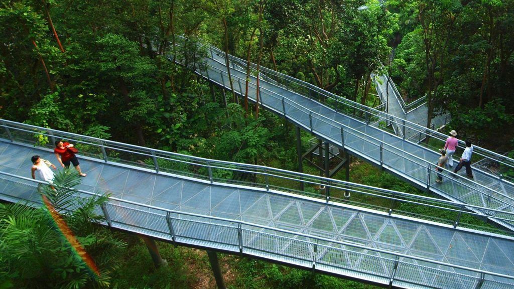 10 Most Beautiful Hiking Trails In Singapore To Visit In 2025