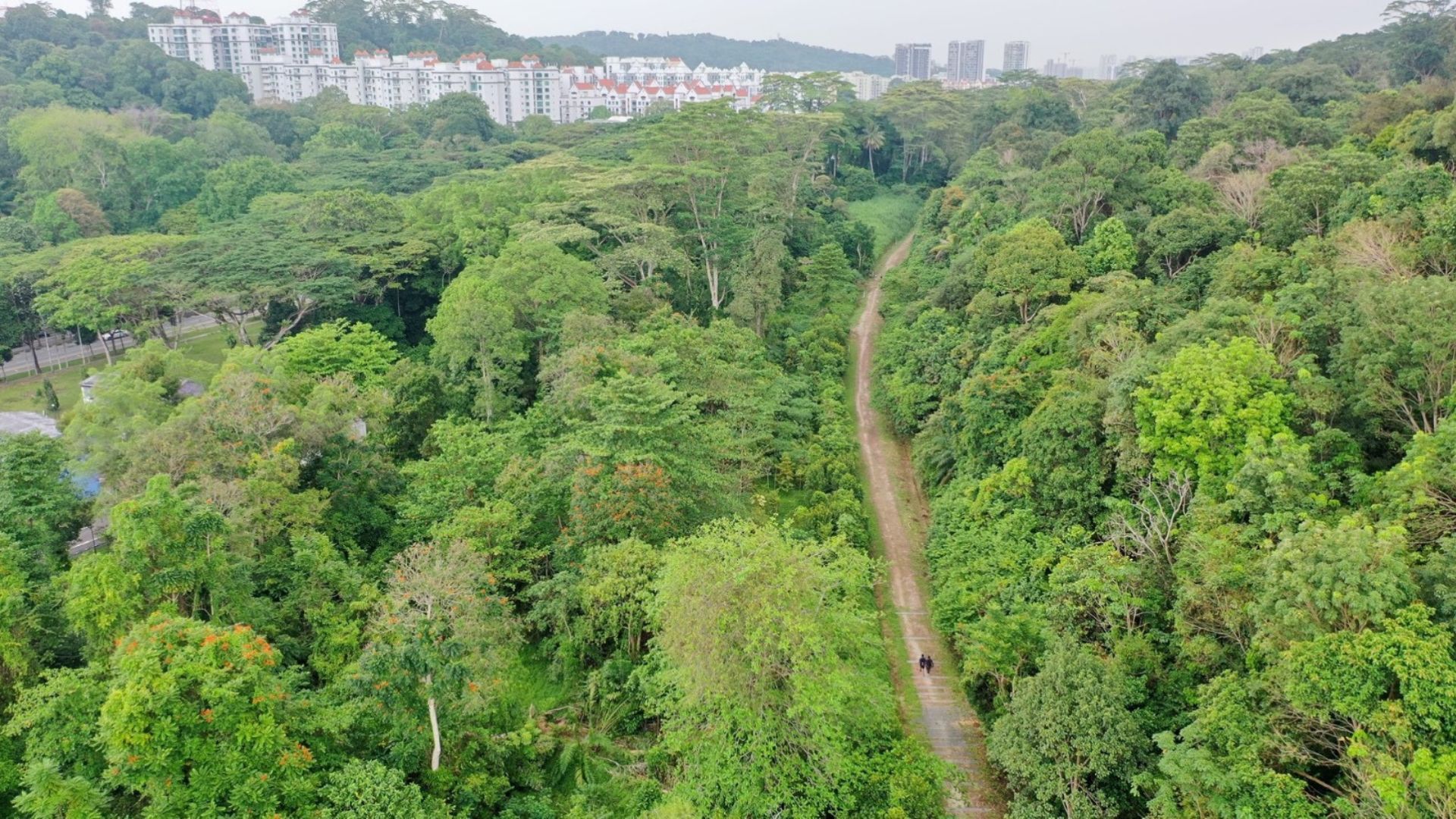 10 Most Beautiful Hiking Trails In Singapore To Visit In 2025