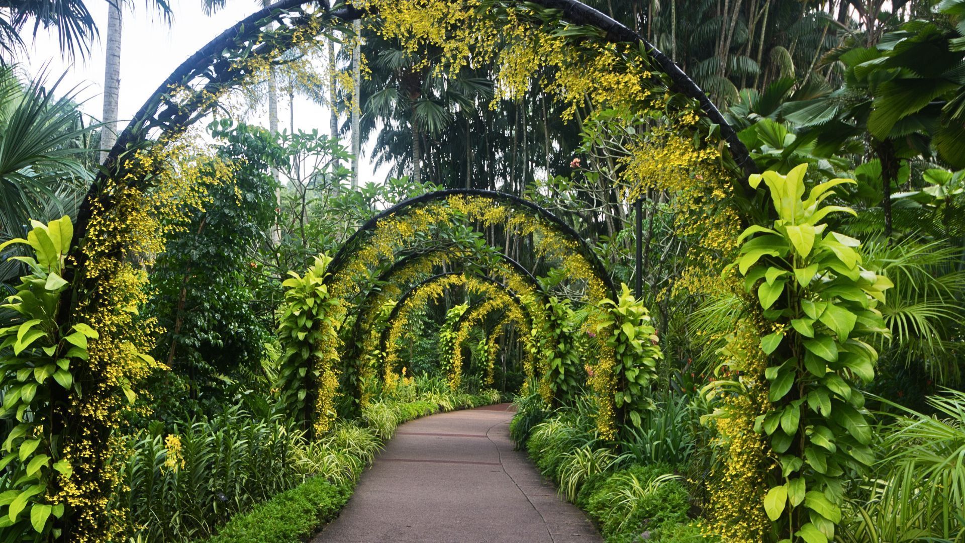 Your Day-Long Itinerary For The Singapore Botanic Gardens