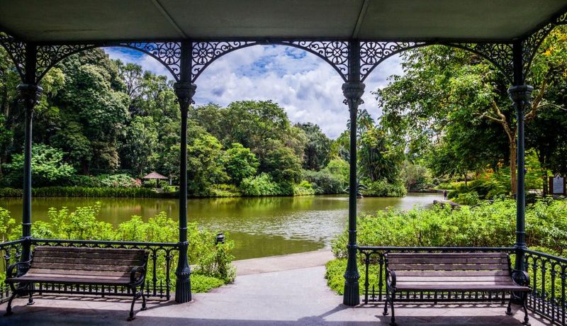 Bacha CCO Maranda Barnes On The Brand's Expansion Plans