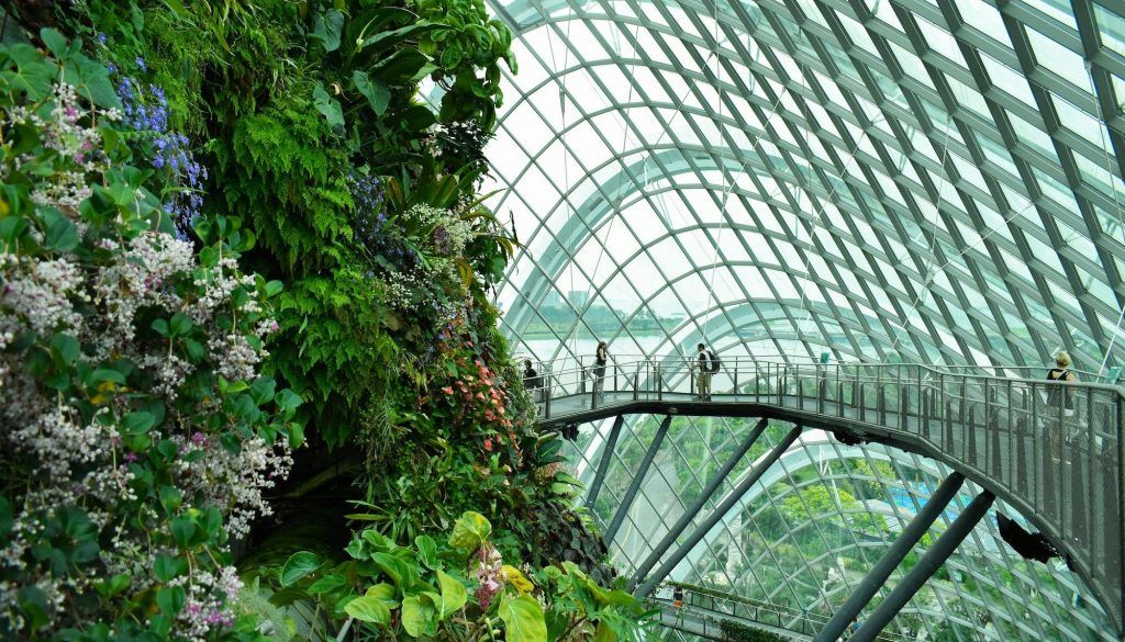 All about the net worth of Telegram CEO Pavel Durov - Augustman SG