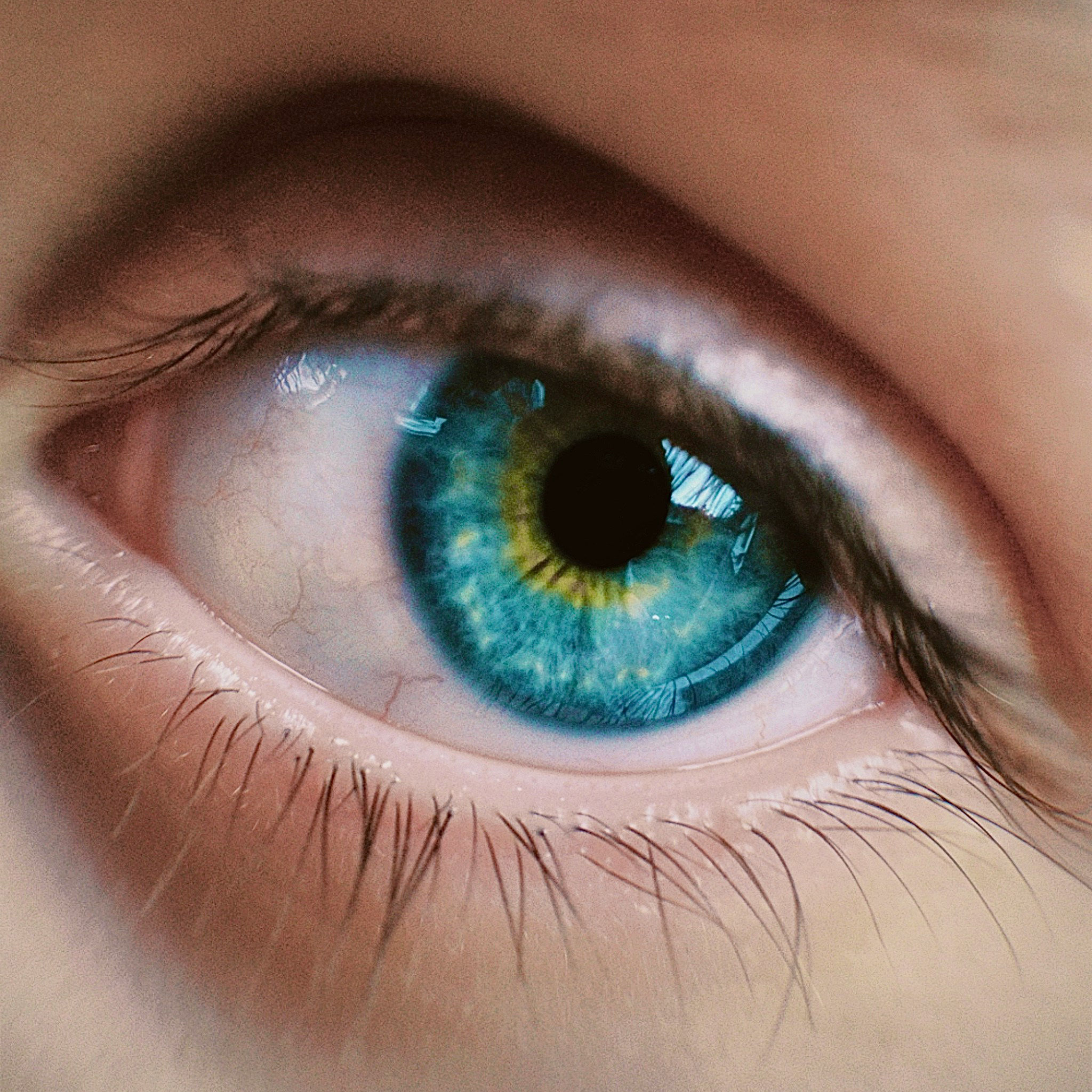 A look at Olo, the new colour discovered by scientists | Augustman SG