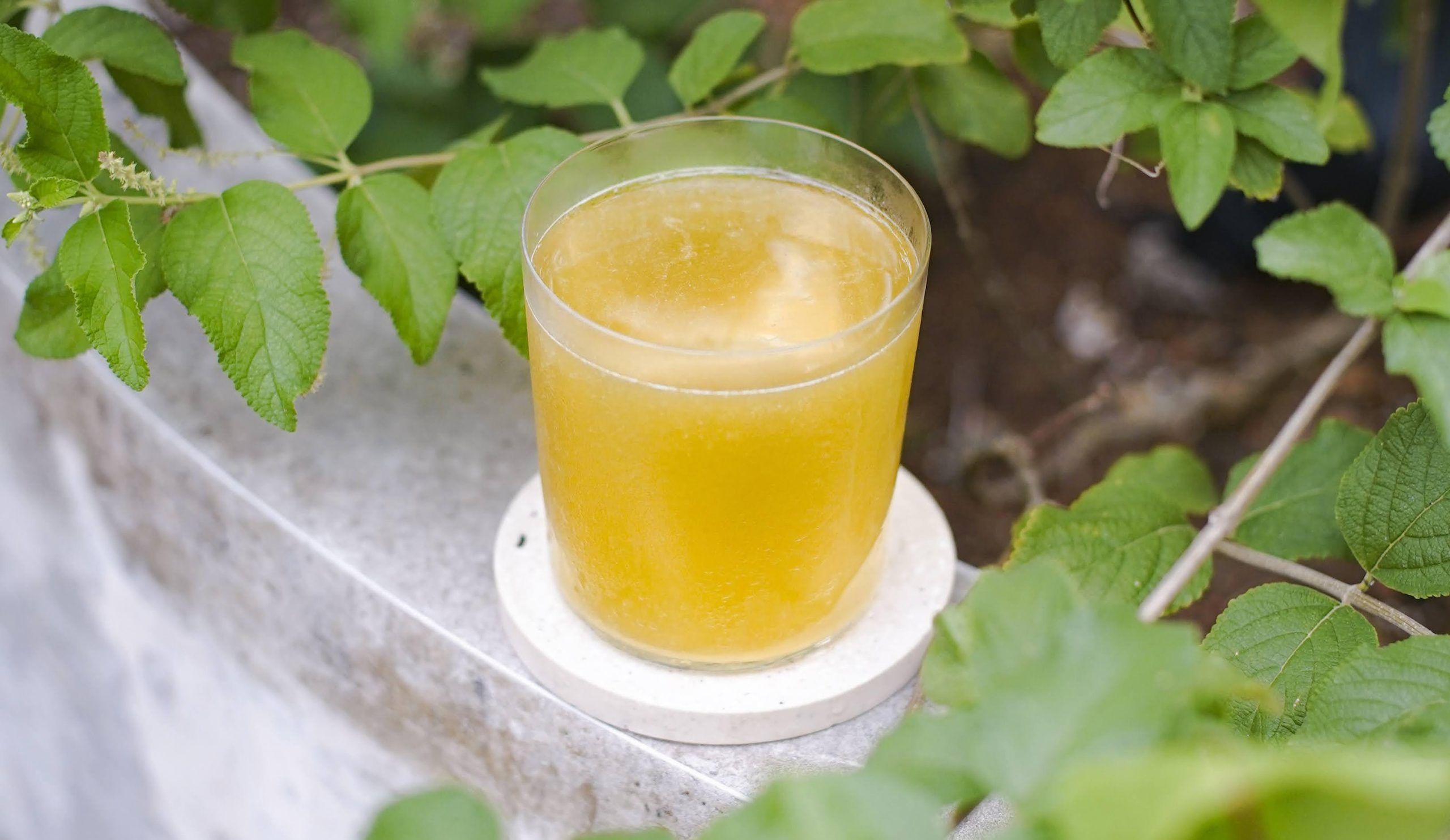 Get Ready To Feel The ‘Buzz’ With These Insect Cocktails In Singapore