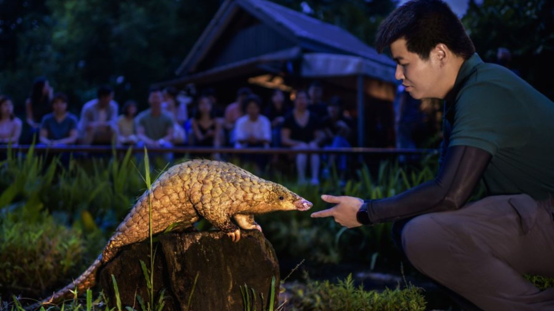 Nature's Finest: Experience The Best Of Singapore Wildlife
