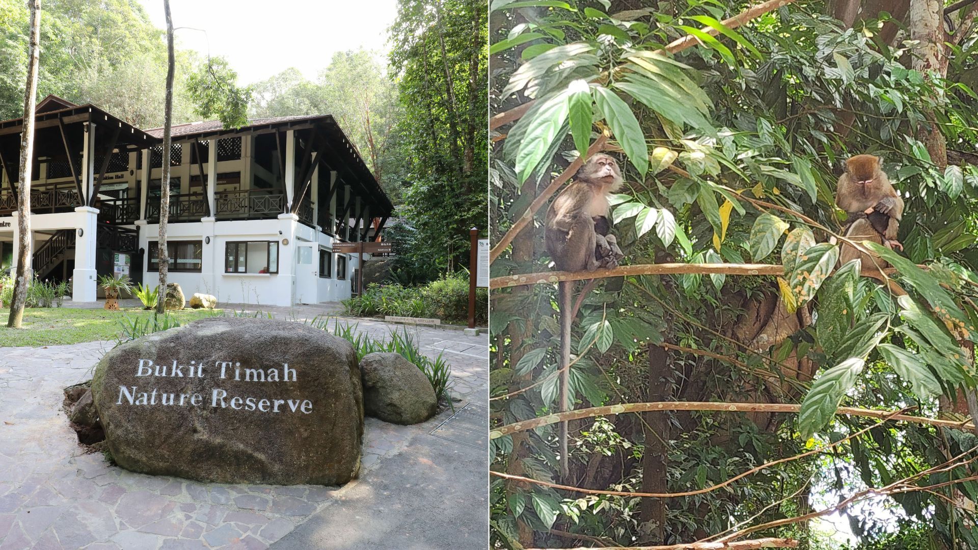 Nature's Finest: Experience The Best Of Singapore Wildlife