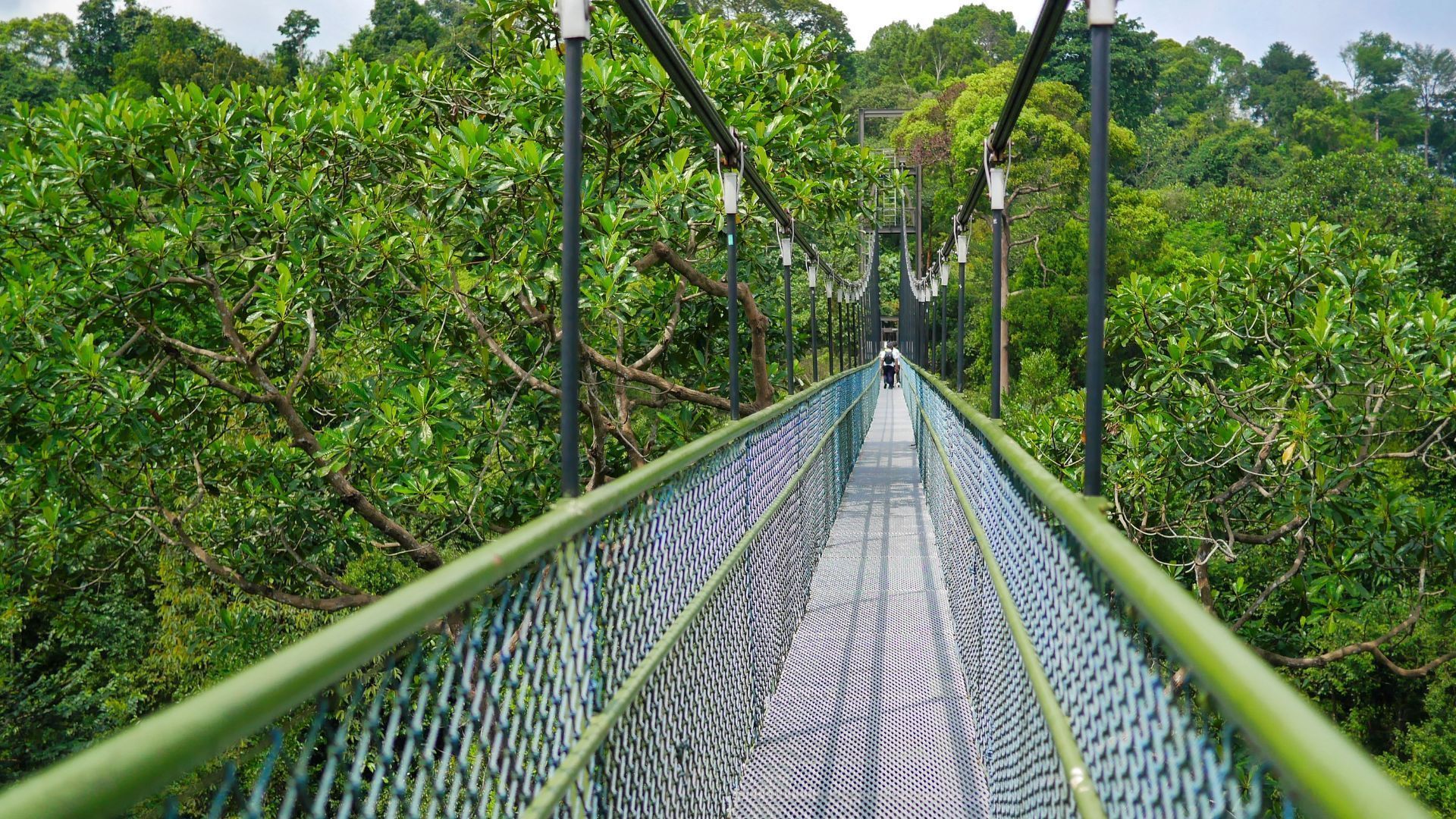 Nature's Finest: Experience The Best Of Singapore Wildlife