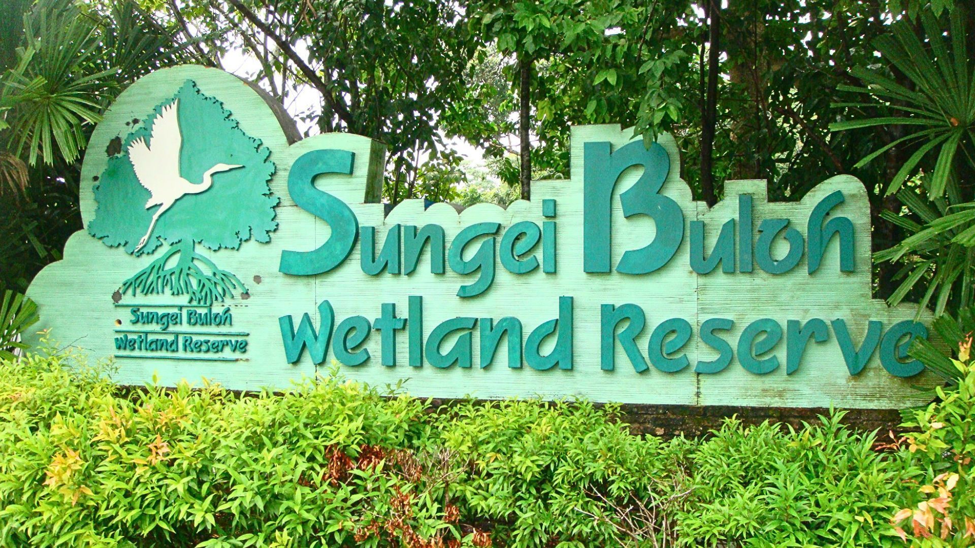 Nature's Finest: Experience The Best Of Singapore Wildlife