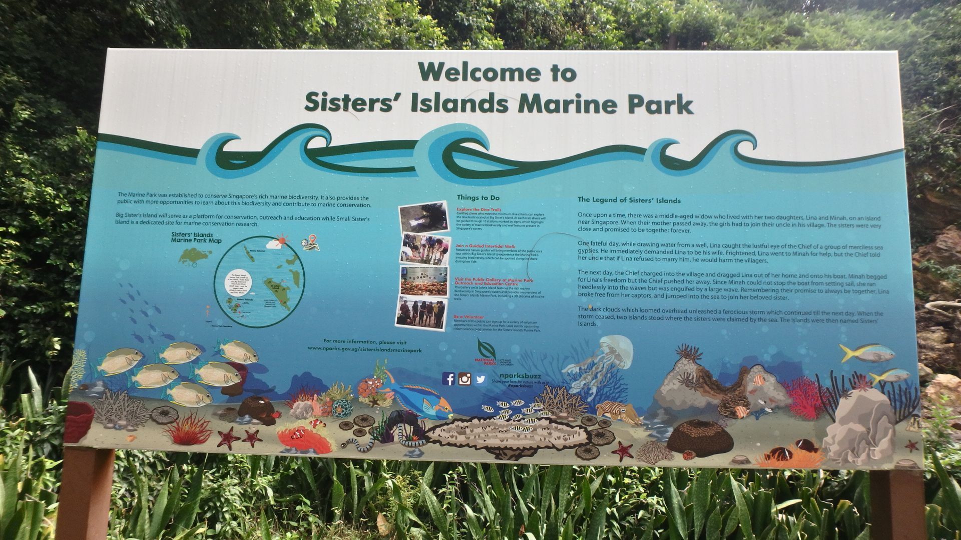 Nature's Finest: Experience The Best Of Singapore Wildlife