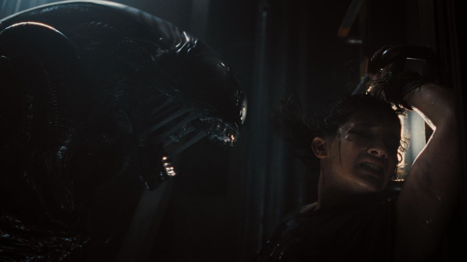 Decoding Xenomorph Types From Alien Franchise | Augustman SG