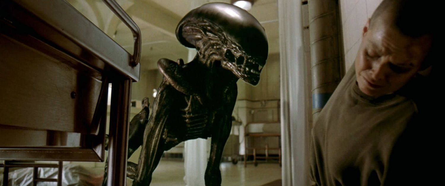 Decoding Xenomorph Types From Alien Franchise | Augustman SG