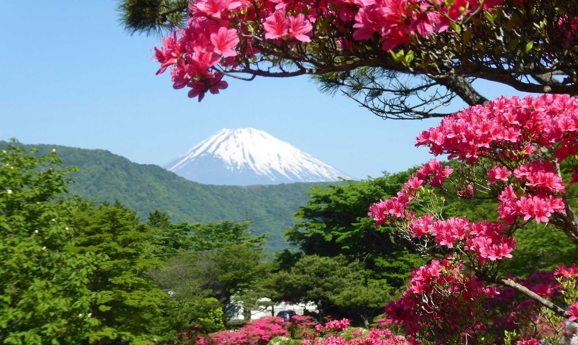 Complete Guide To Explore Mount Fuji In Japan | Augustman SG