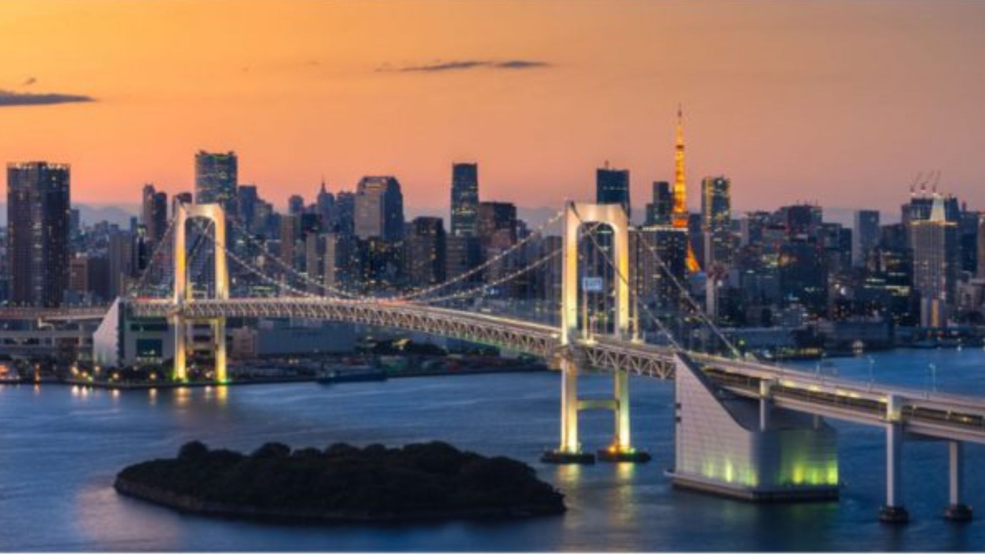 A 7-Day Itinerary To Explore Tokyo | Augustman Singapore