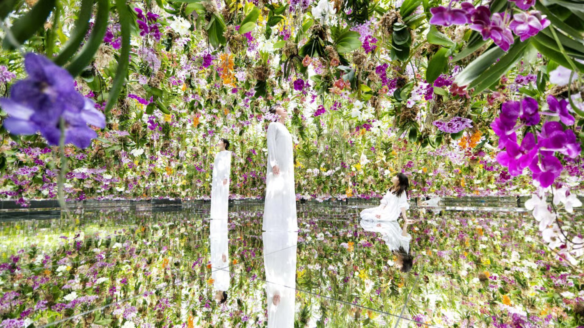 Best TeamLab Exhibitions To Visit In Japan | Augustman Singapore