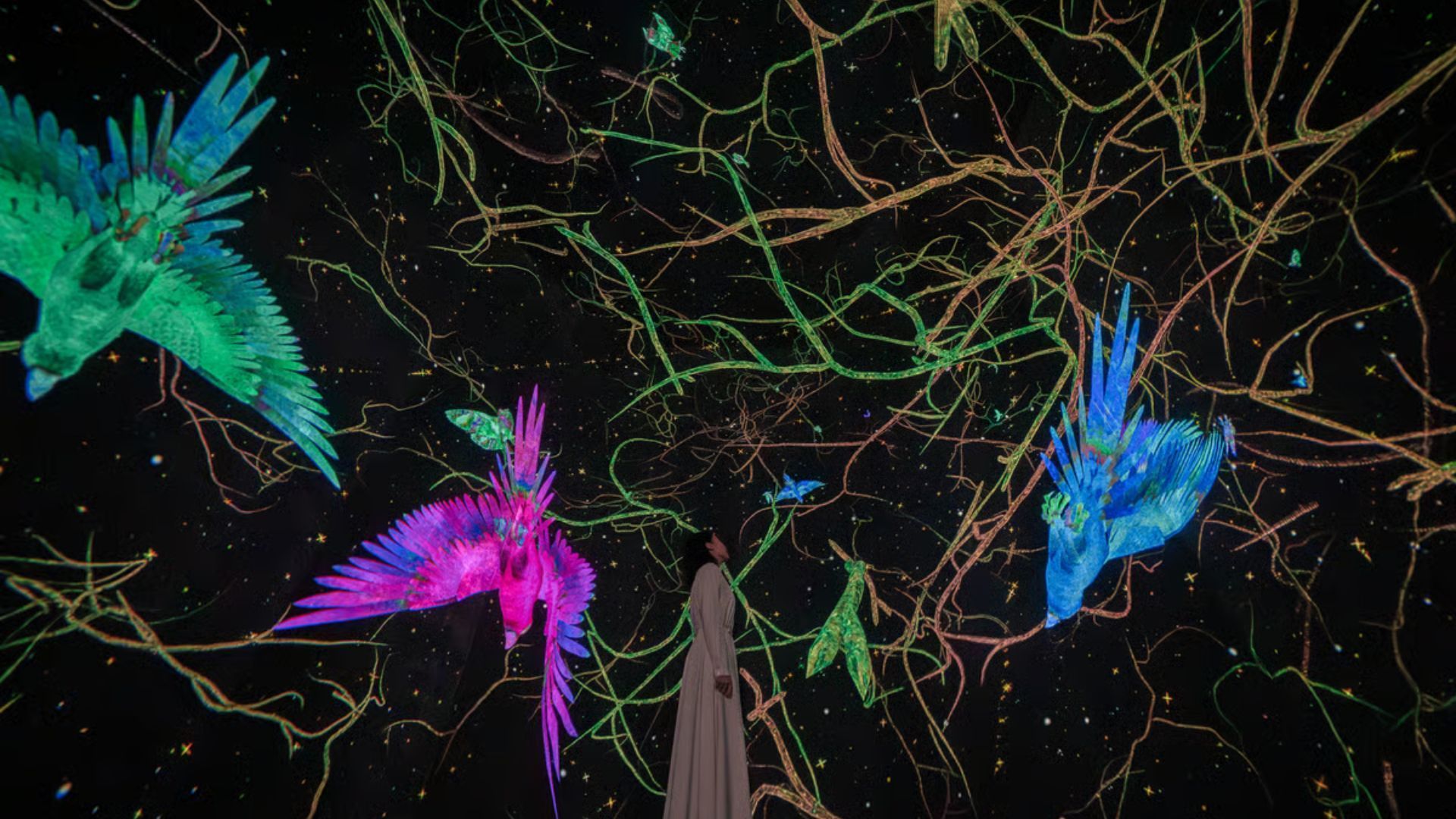 Best TeamLab Exhibitions To Visit In Japan | Augustman Singapore