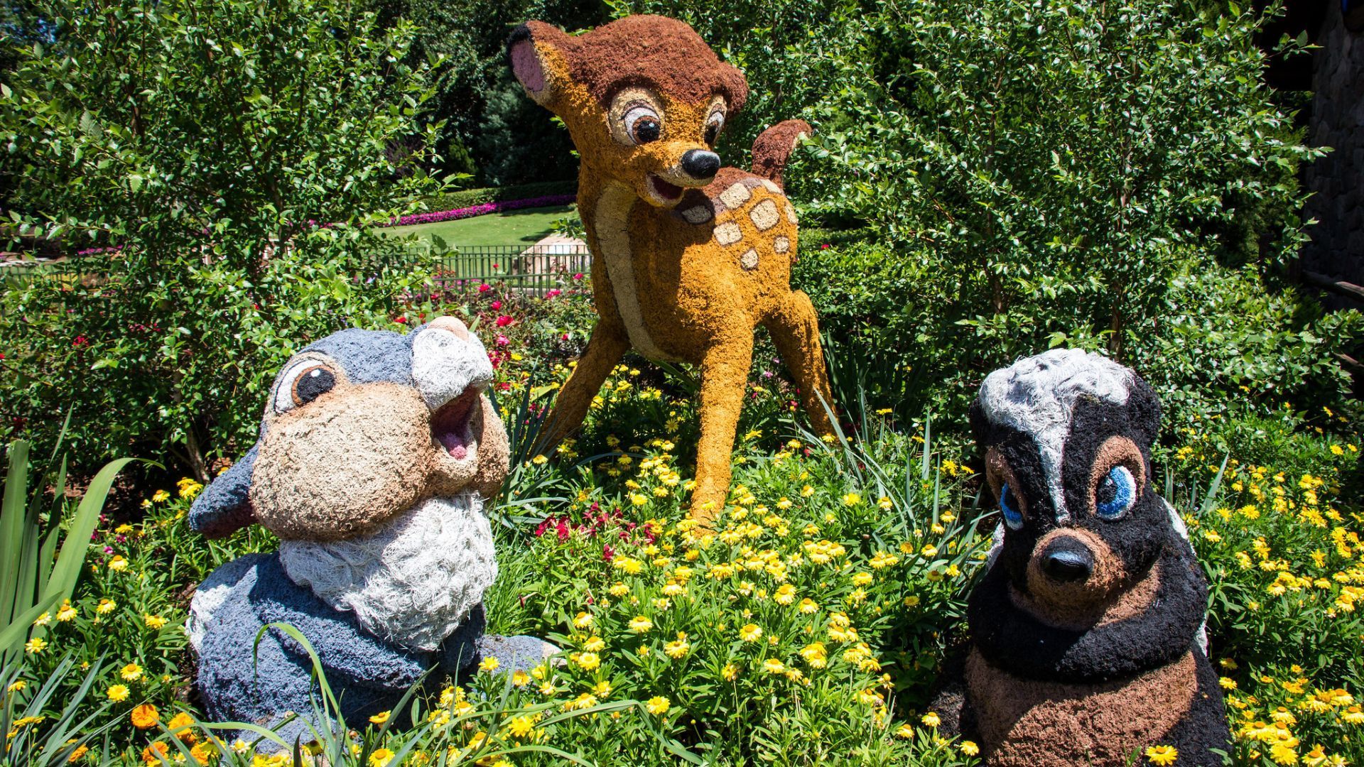 Best Flower Festivals Around The World In 2026 | Augustman SG