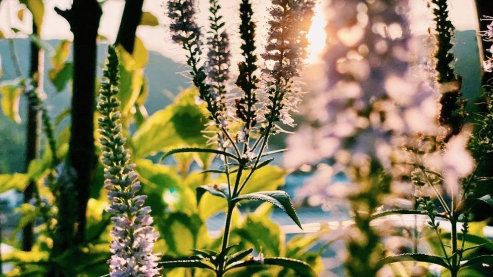 'BinJin': The Love Story Of 'Crash Landing On You's Hyun Bin & Son Ye-Jin