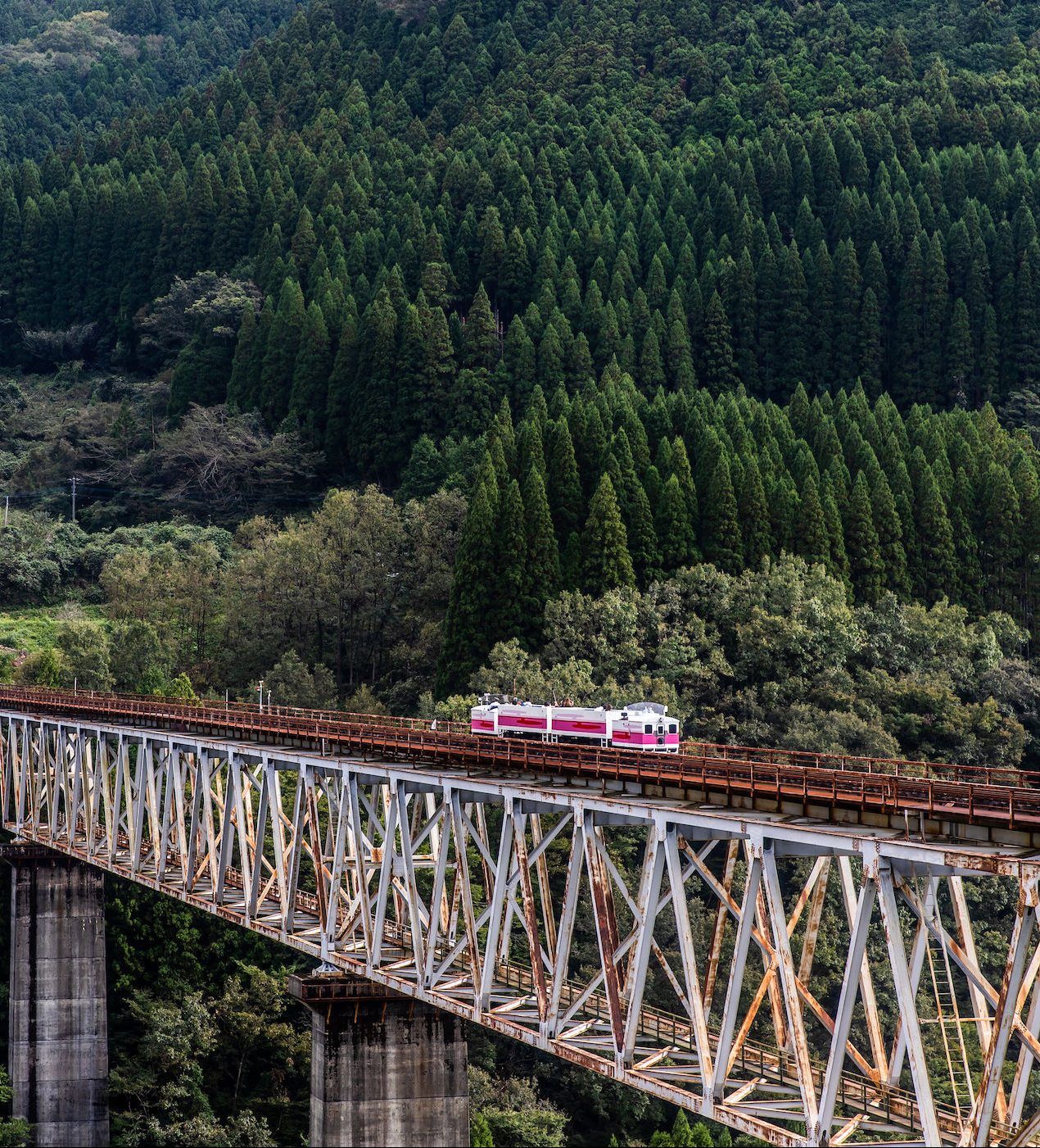 This Sightseeing Train In Japan Runs On Leftover Ramen Soup