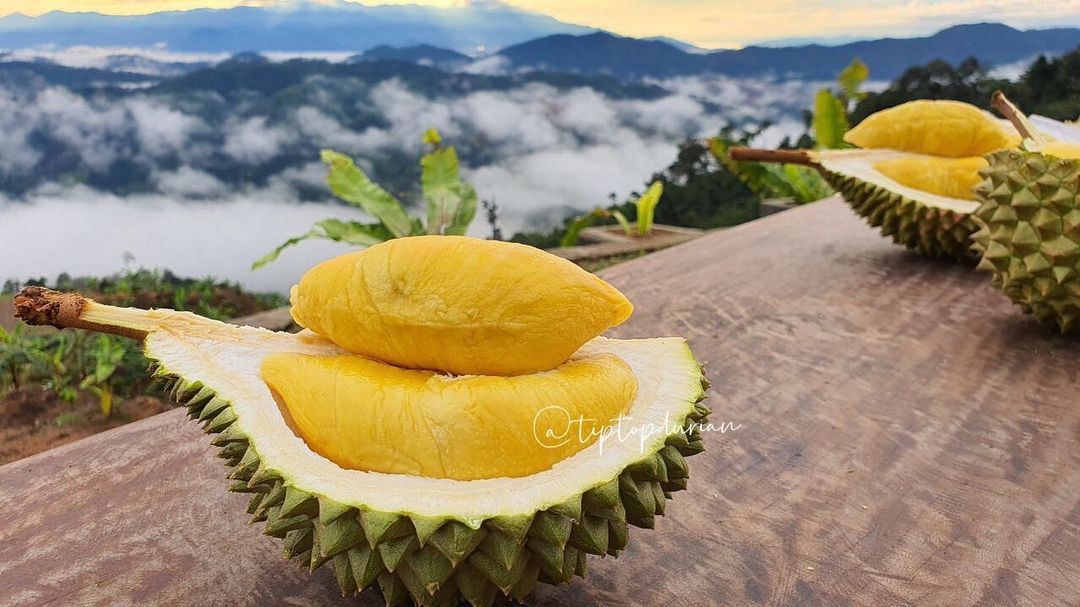 Best Durian Stalls In Kuala Lumpur And Selangor