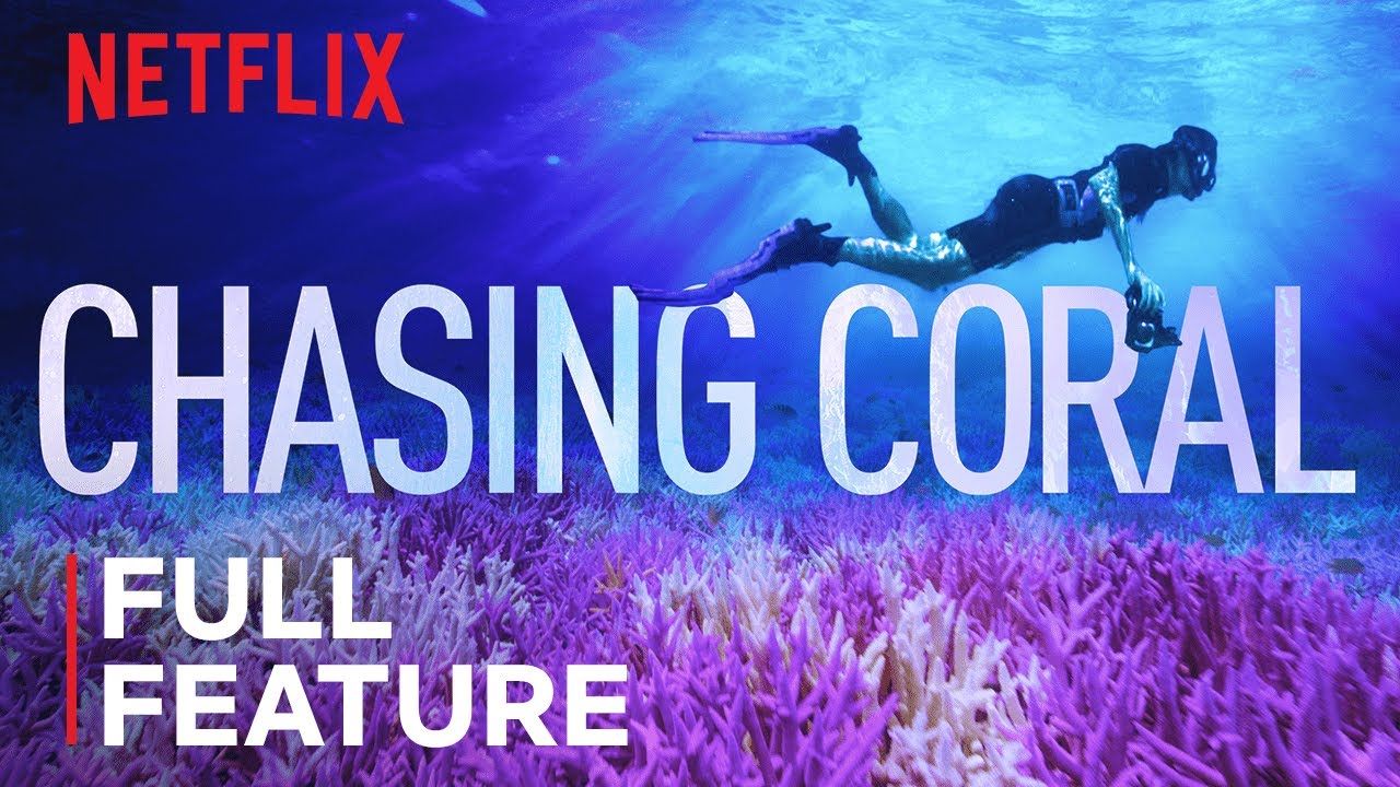 10 Best Ocean Disaster Documentaries To Binge-Watch