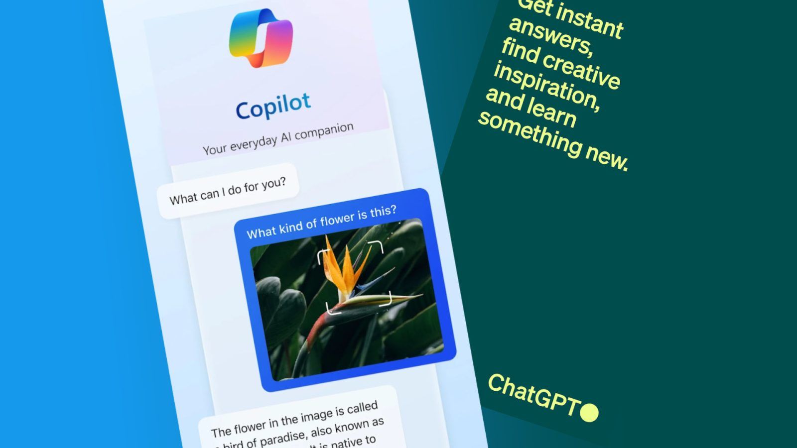 Microsoft Copilot vs ChatGPT: Which AI Chatbot App Is Better?