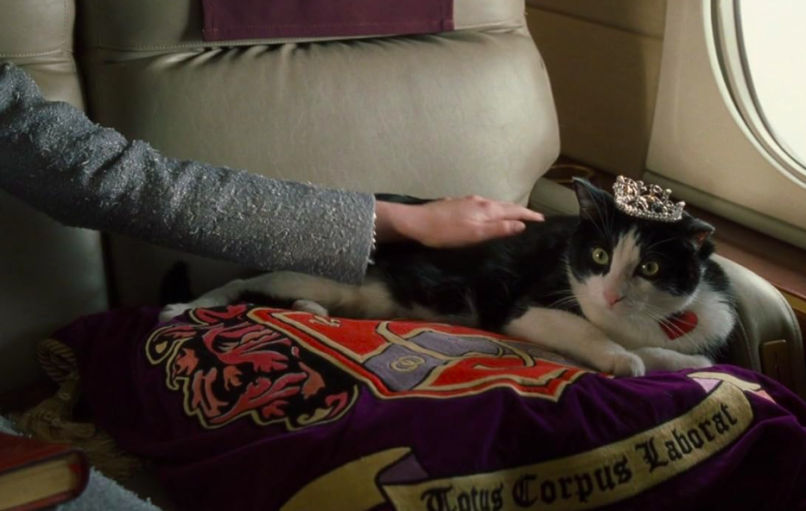 8 Plot Lines That Will Be Perfect For Princess Diaries 3 - Augustman MY