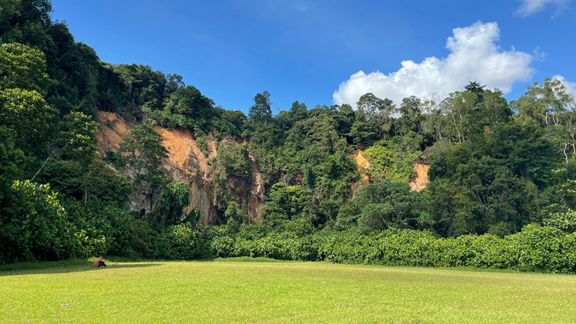 10 Beautiful Hiking Trails In Singapore To Visit In 2025 - Augustman MY